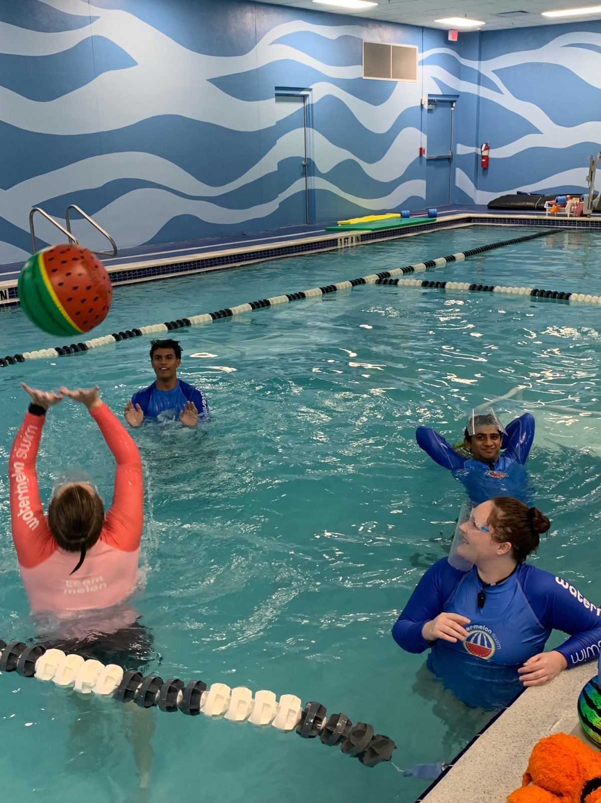 Careers - Watermelon Swim
